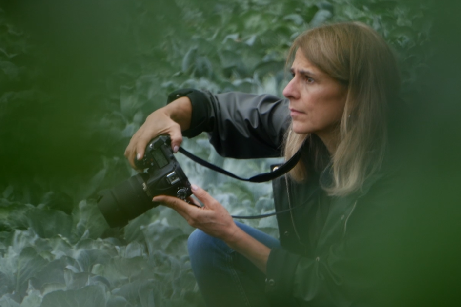 Content - NOW PRODUCTION